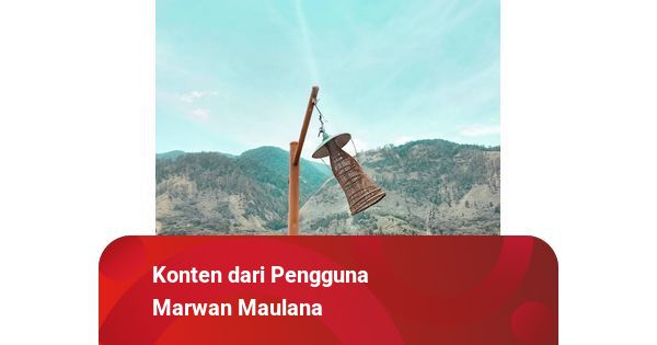 Sekolah Alam Jong Bobar : Optimalkan Alam Sebagai Media Belajar | kumparan.com